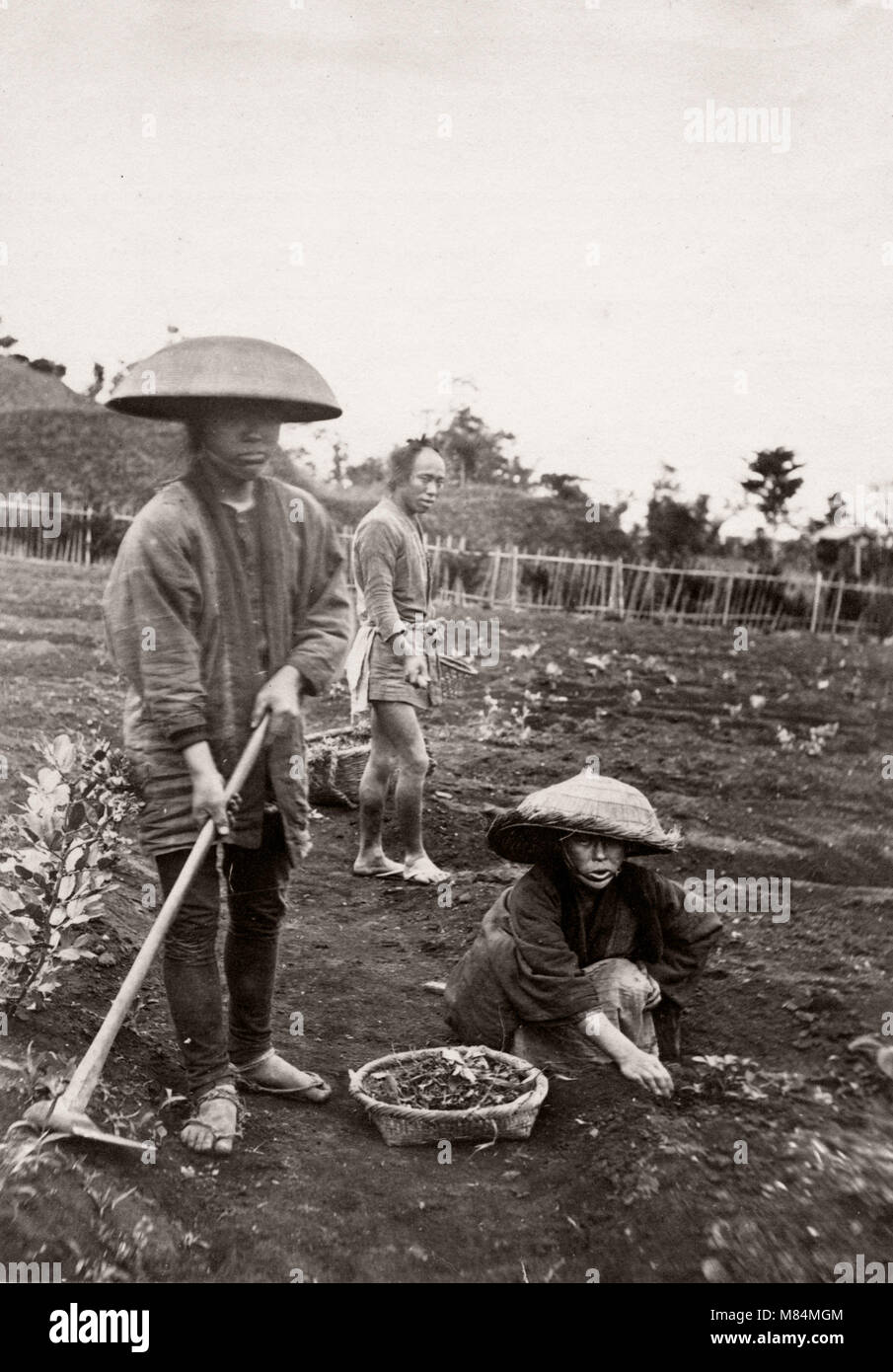 Women workers 19th century hi-res stock photography and images - Alamy