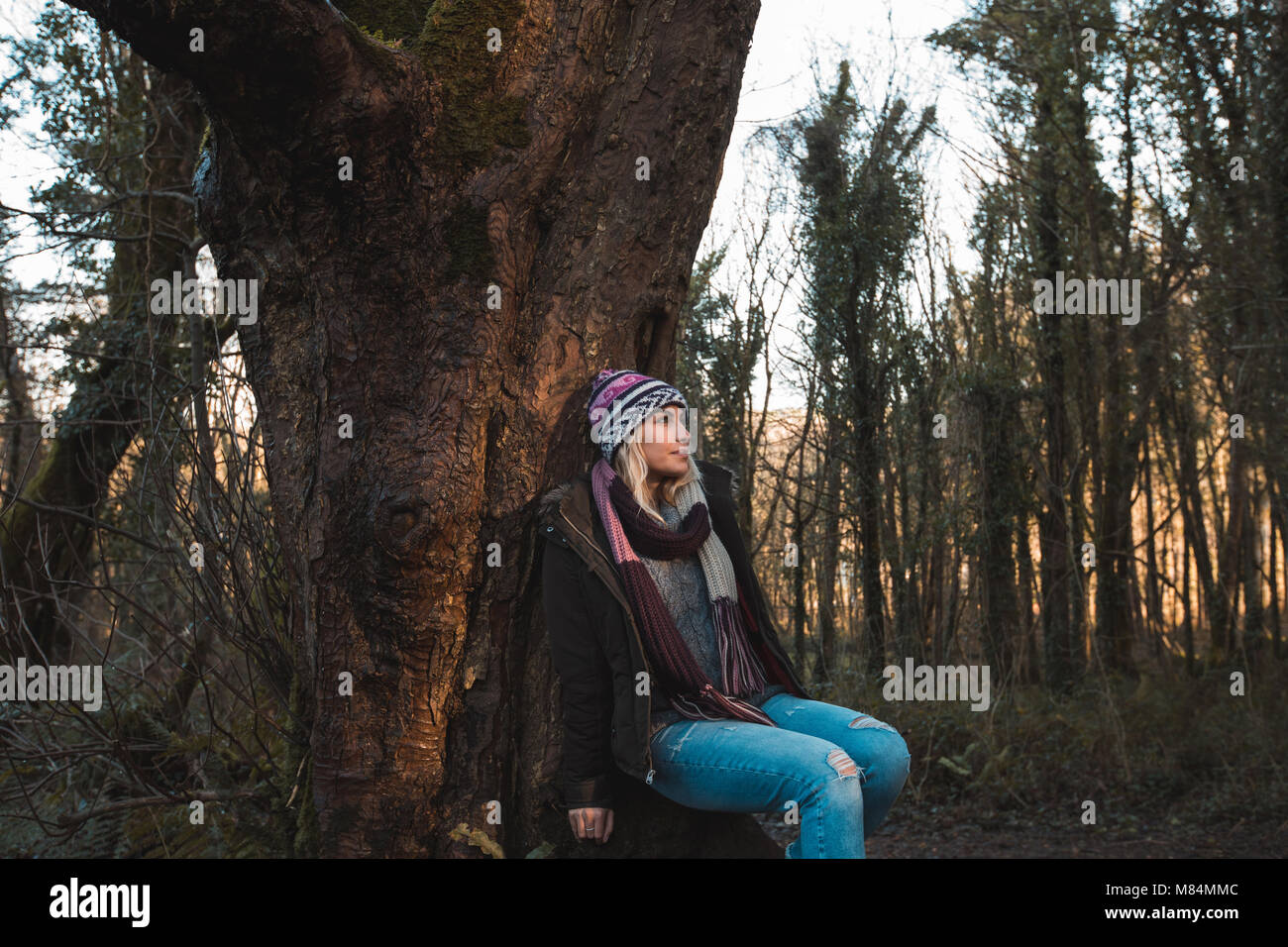 Female sitting under a tree hi-res stock photography and images - Alamy