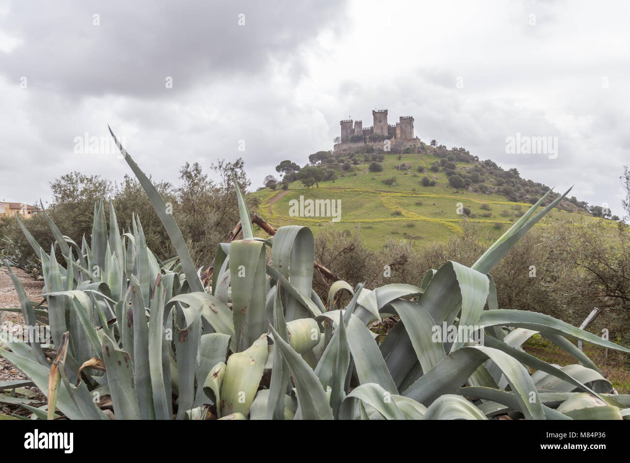 Castillo de Almodovar del Rio Stock Photo - Alamy
