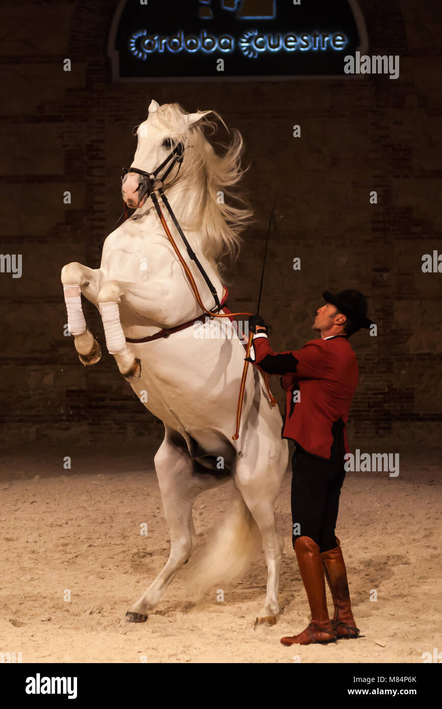 Royal stables hi-res stock photography and images - Alamy
