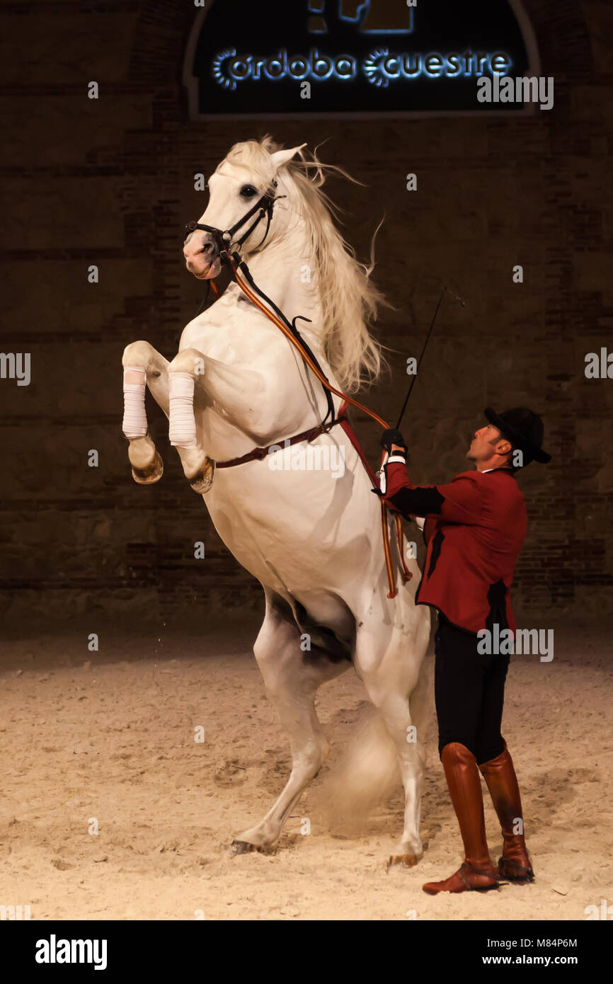 equestrian show royal stables cordoba Stock Photo - Alamy