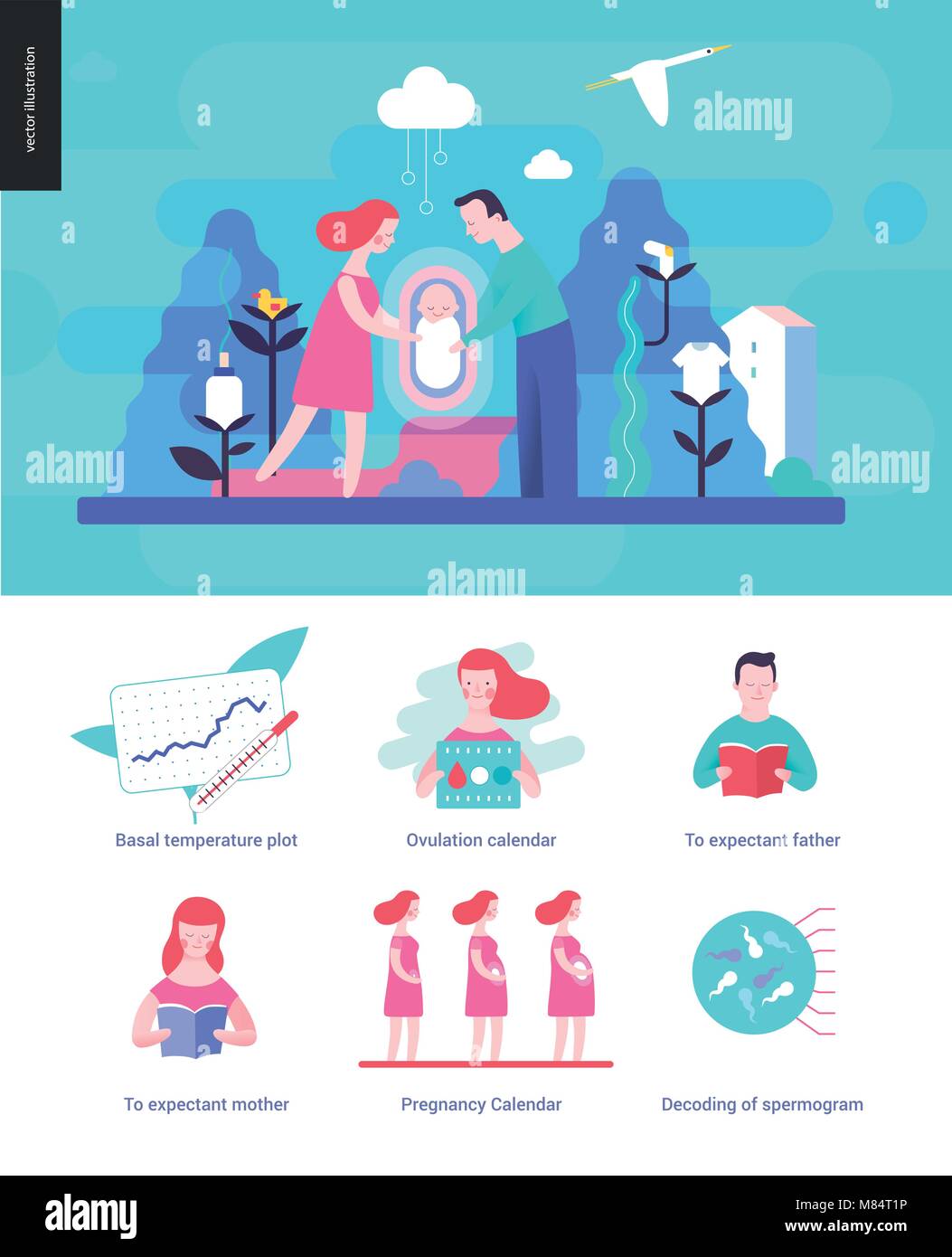 Fetal vector vectors hi-res stock photography and images - Alamy