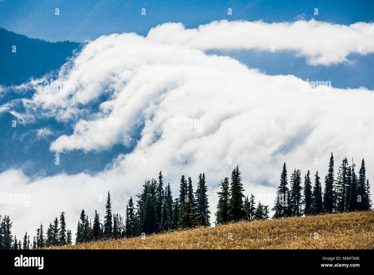 Looking down on low clouds in the valley below Hurricane Ridge in ...