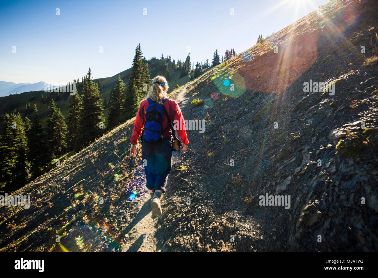 A woman hiking the High Ridge Nature Trail near Hurricane Ridge in ...