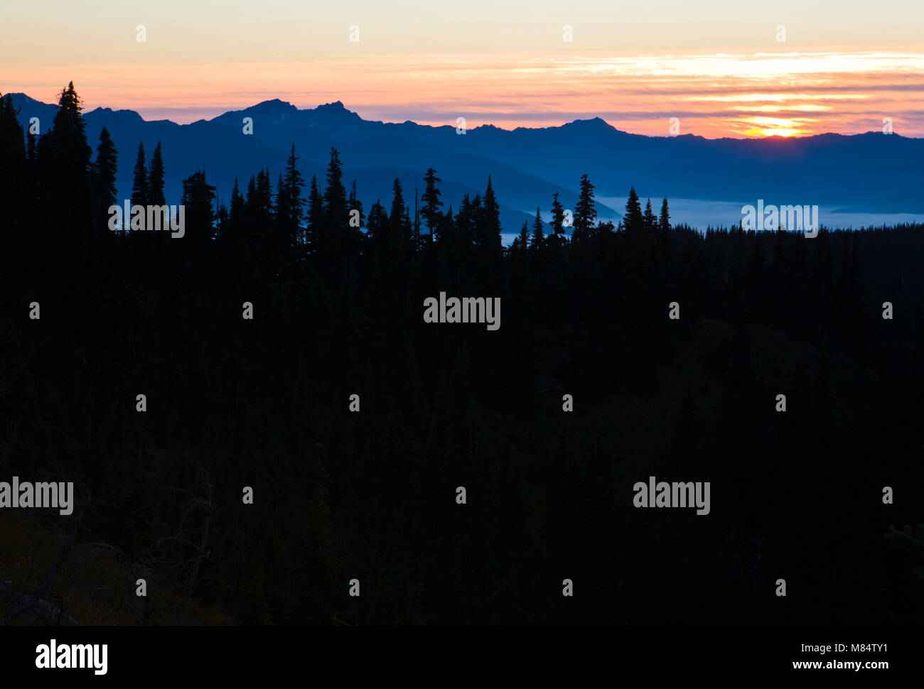 The Olympic Mountains at sunset as seen from Hurricane Ridge, Olympic ...