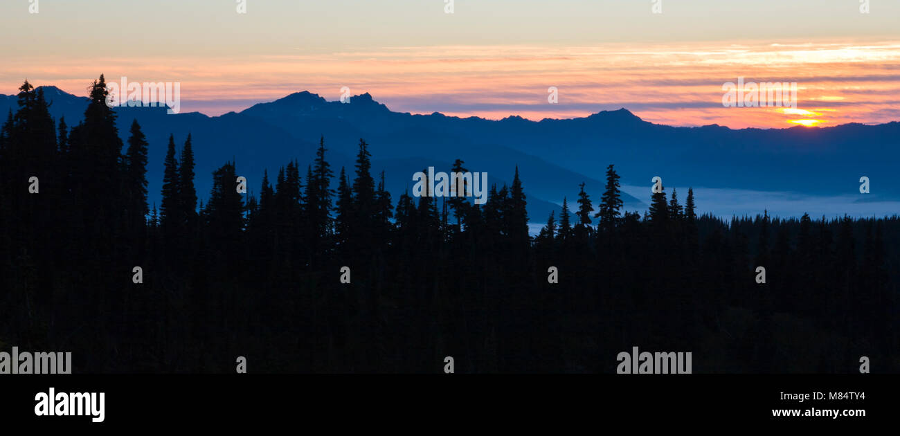 The Olympic Mountains at sunset as seen from Hurricane Ridge, Olympic ...