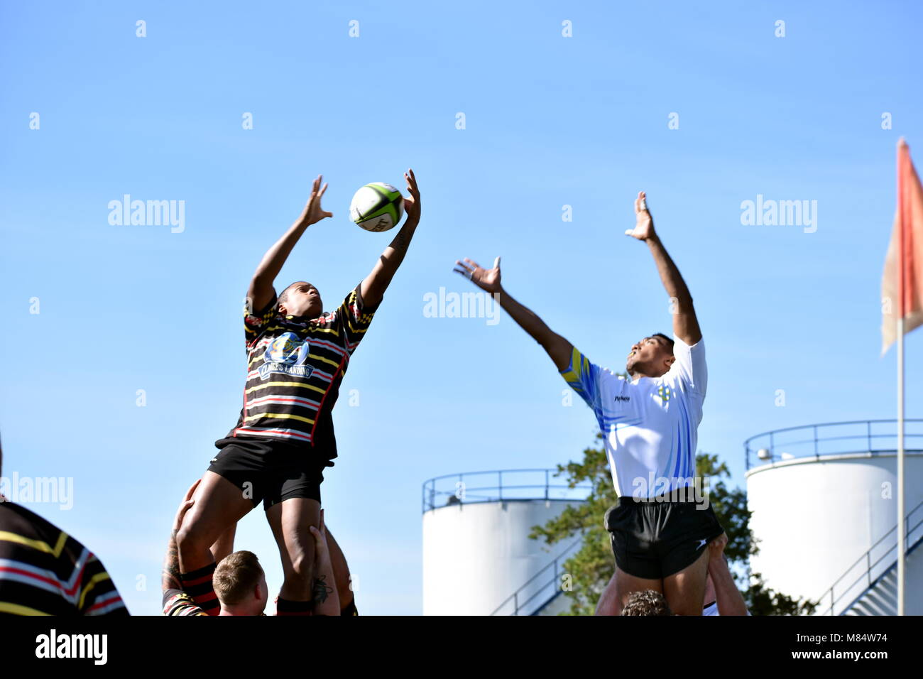 Rugby team performs lineout Stock Photo - Alamy