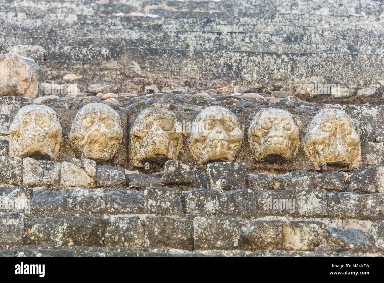 Ancient Mayan Skull Carvings Stock Photo - Alamy