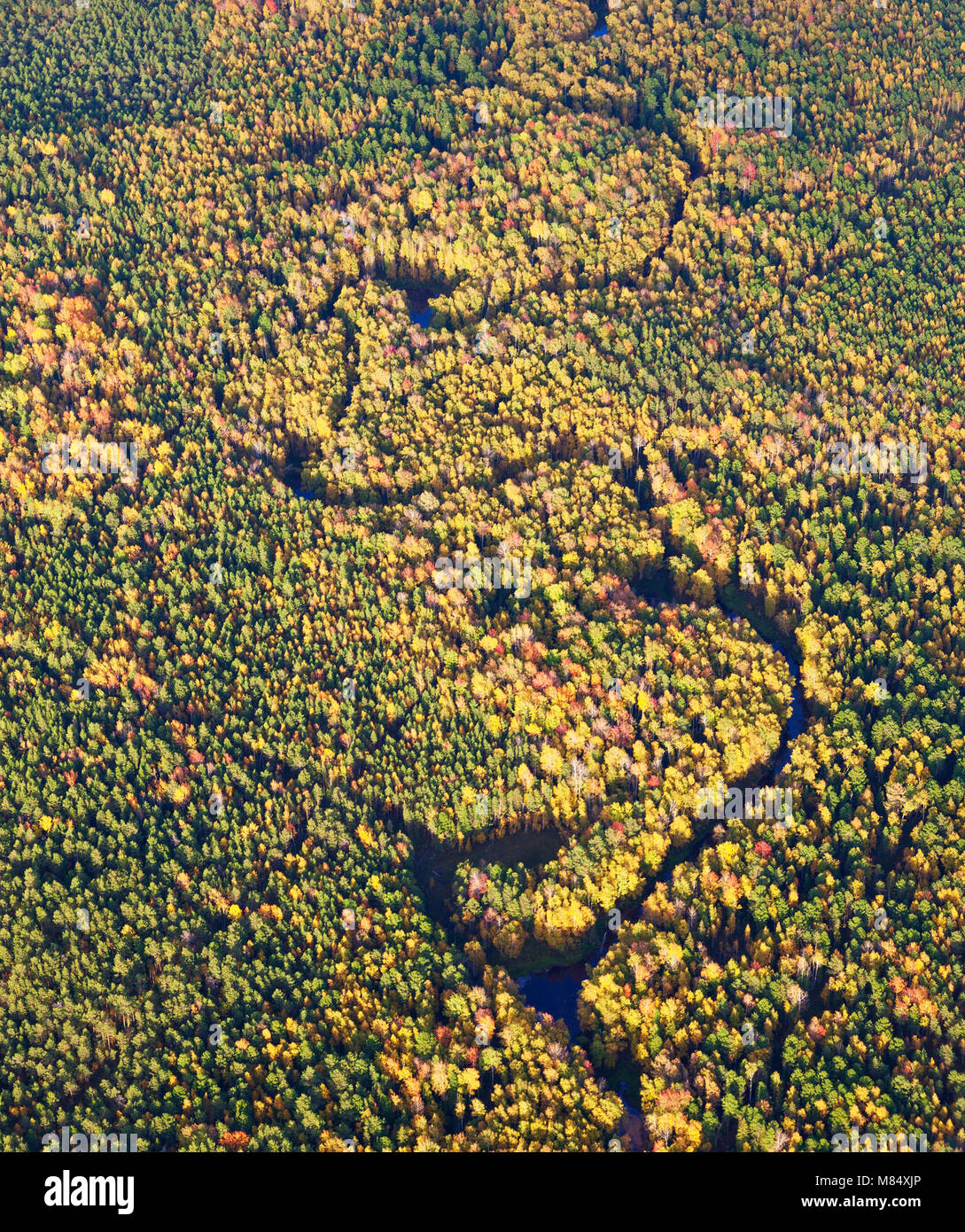Top view perspective of autumn forest and river Stock Photo - Alamy