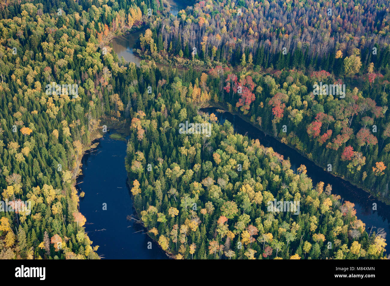 Top view perspective of autumn forest and river Stock Photo - Alamy