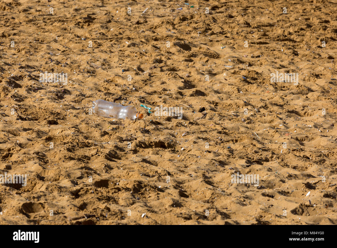 Plastic litter and bottles are the scourge of sandy beaches in the ...