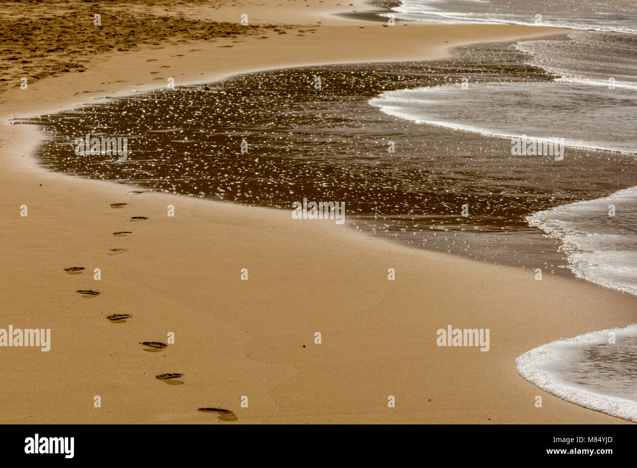 Footprints in red sand at beach Stock Photo - Alamy