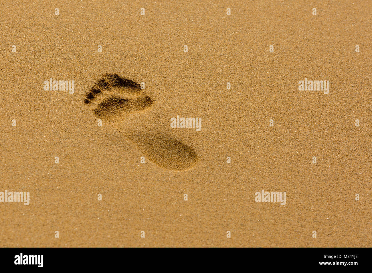 Footprints in red sand at beach Stock Photo - Alamy