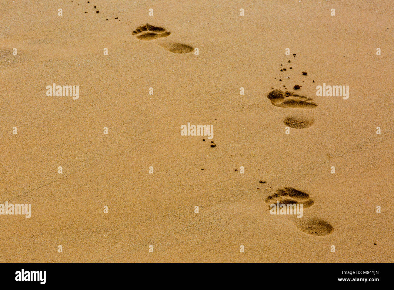 Footprints in red sand at beach Stock Photo - Alamy