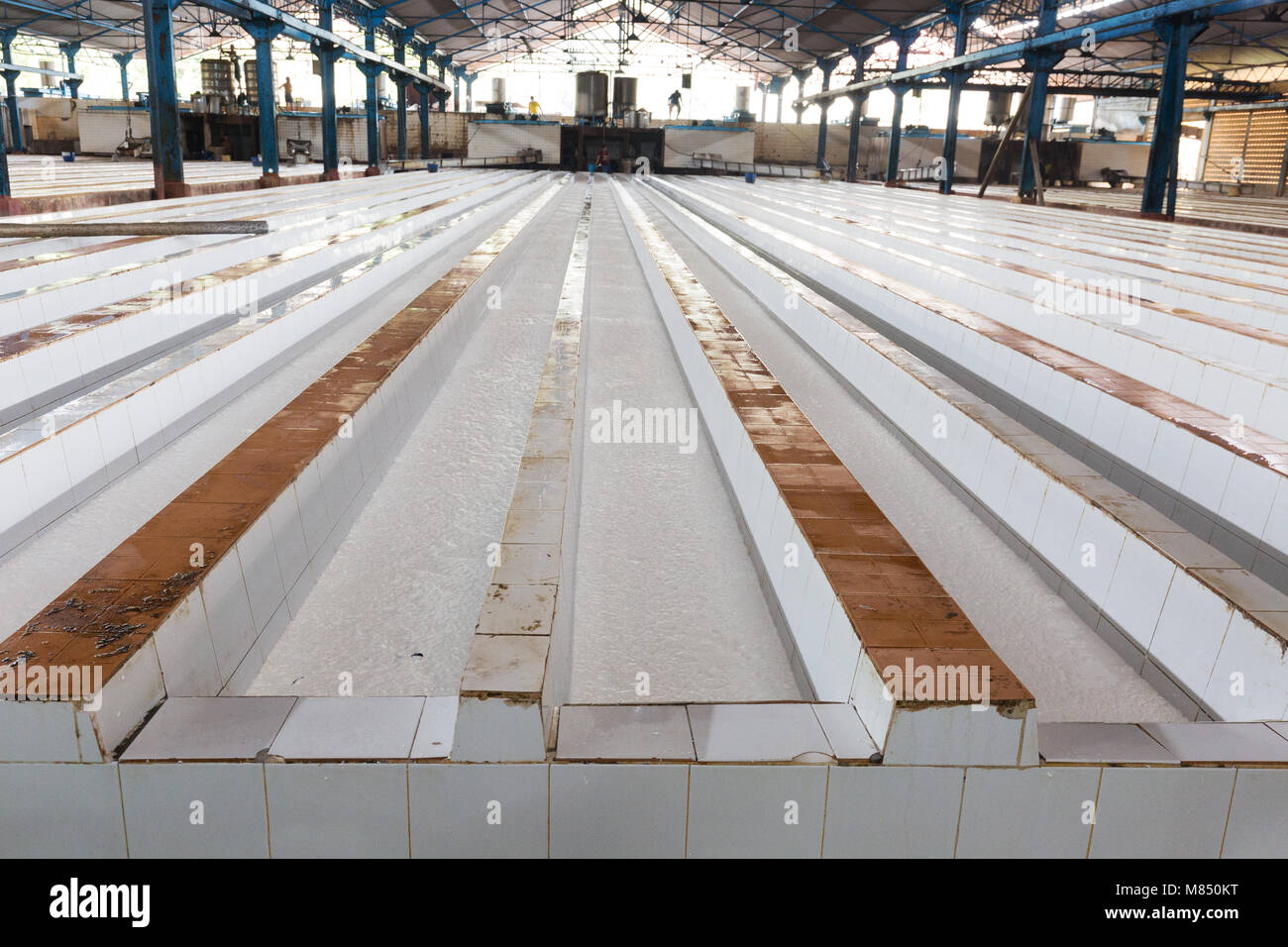 Rubber factory, Cambodia, Asia - raw rubber latex waiting rubber ...