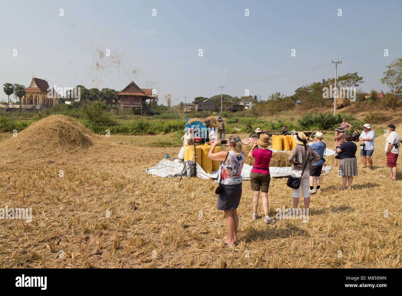 Cambodia tourism - tourists watching rice threshing in rural Cambodia ...