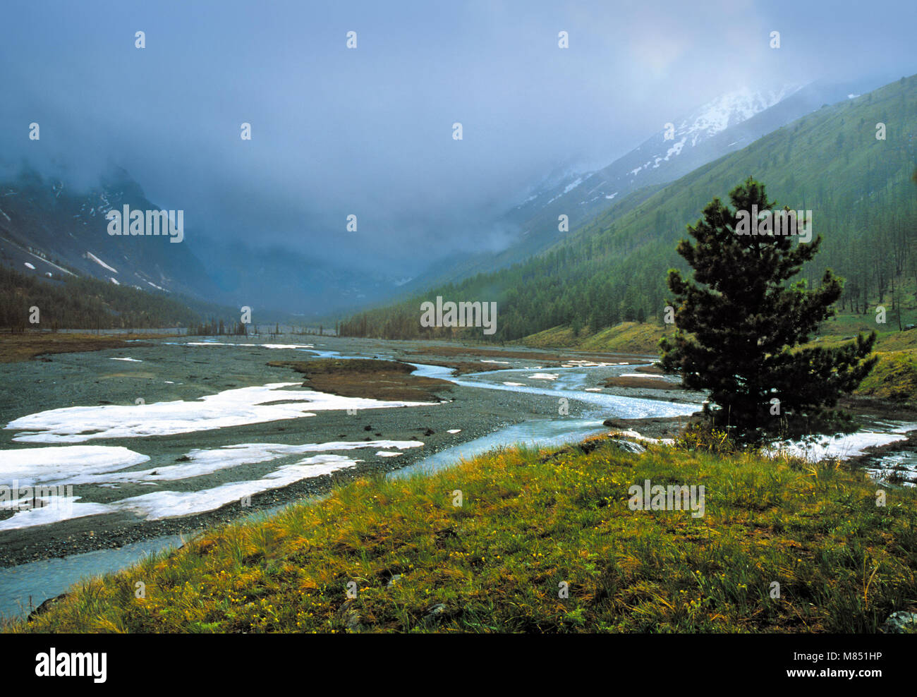 Mountain river valley in Altai, Russia. Low cloud, Springtime Stock ...