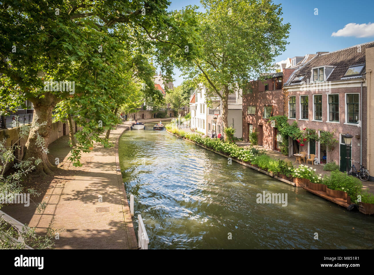 Zonig hi-res stock photography and images - Alamy