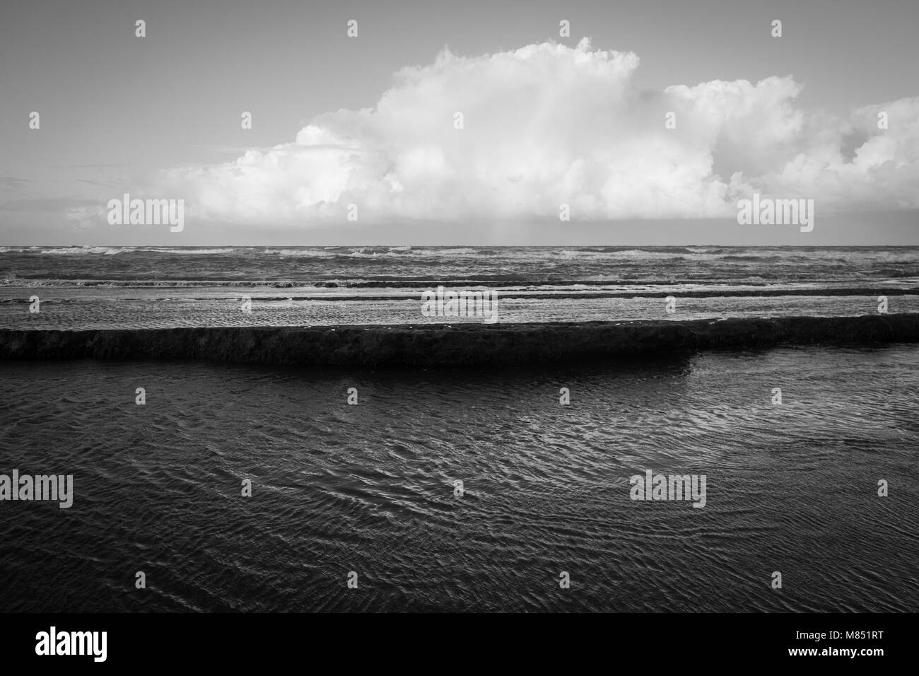 Tropical caribbean beach in Black and White Stock Photos & Images - Alamy