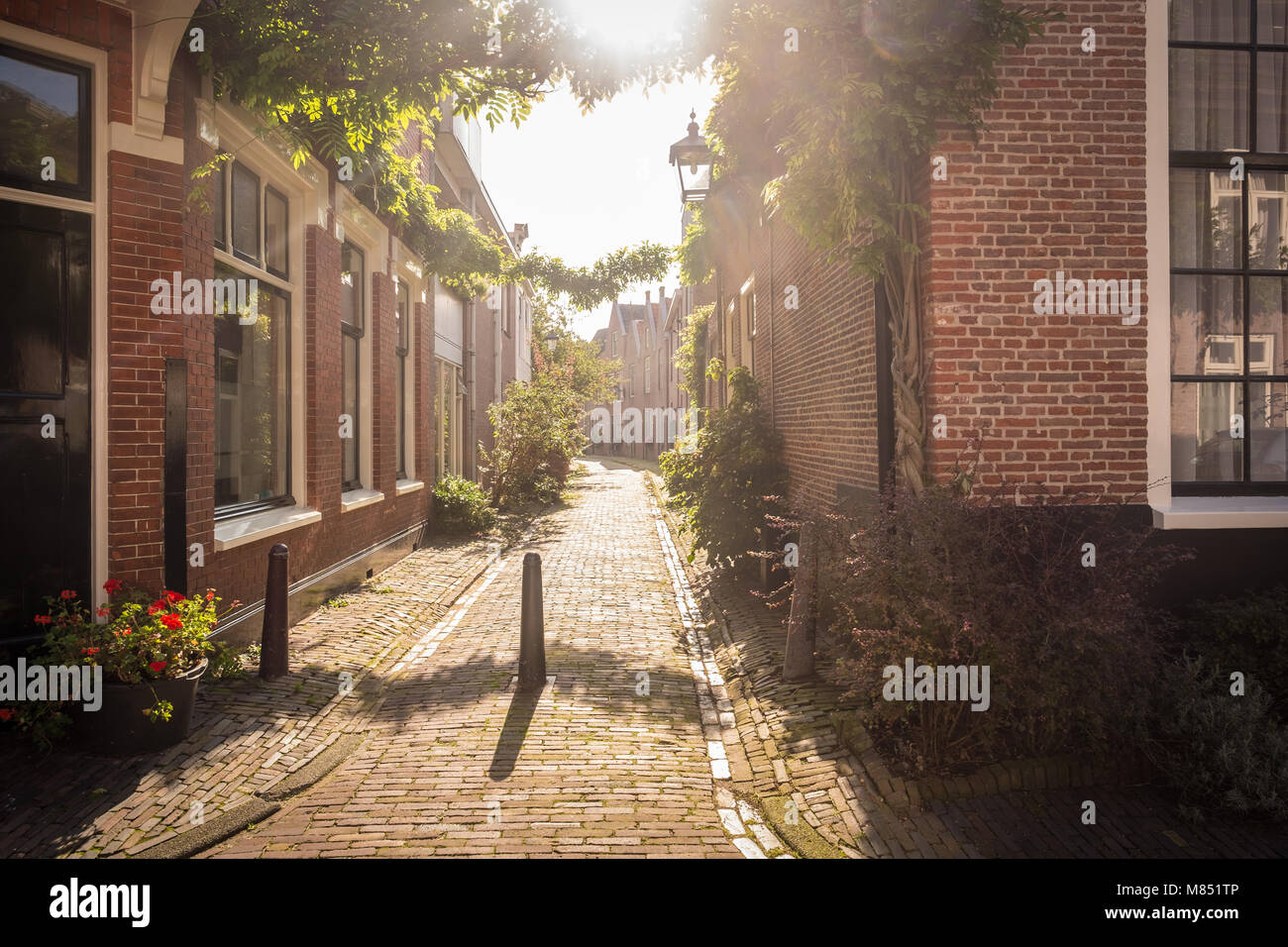 Typical Haarlem street Stock Photo - Alamy