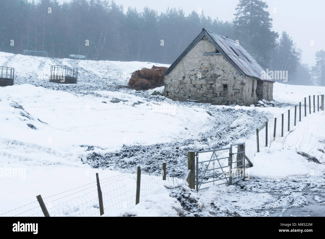 Covered parapet hi-res stock photography and images - Alamy