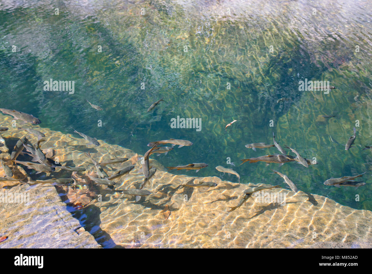 Mountain spring water, stream between rocks and stones, brook, creek ...