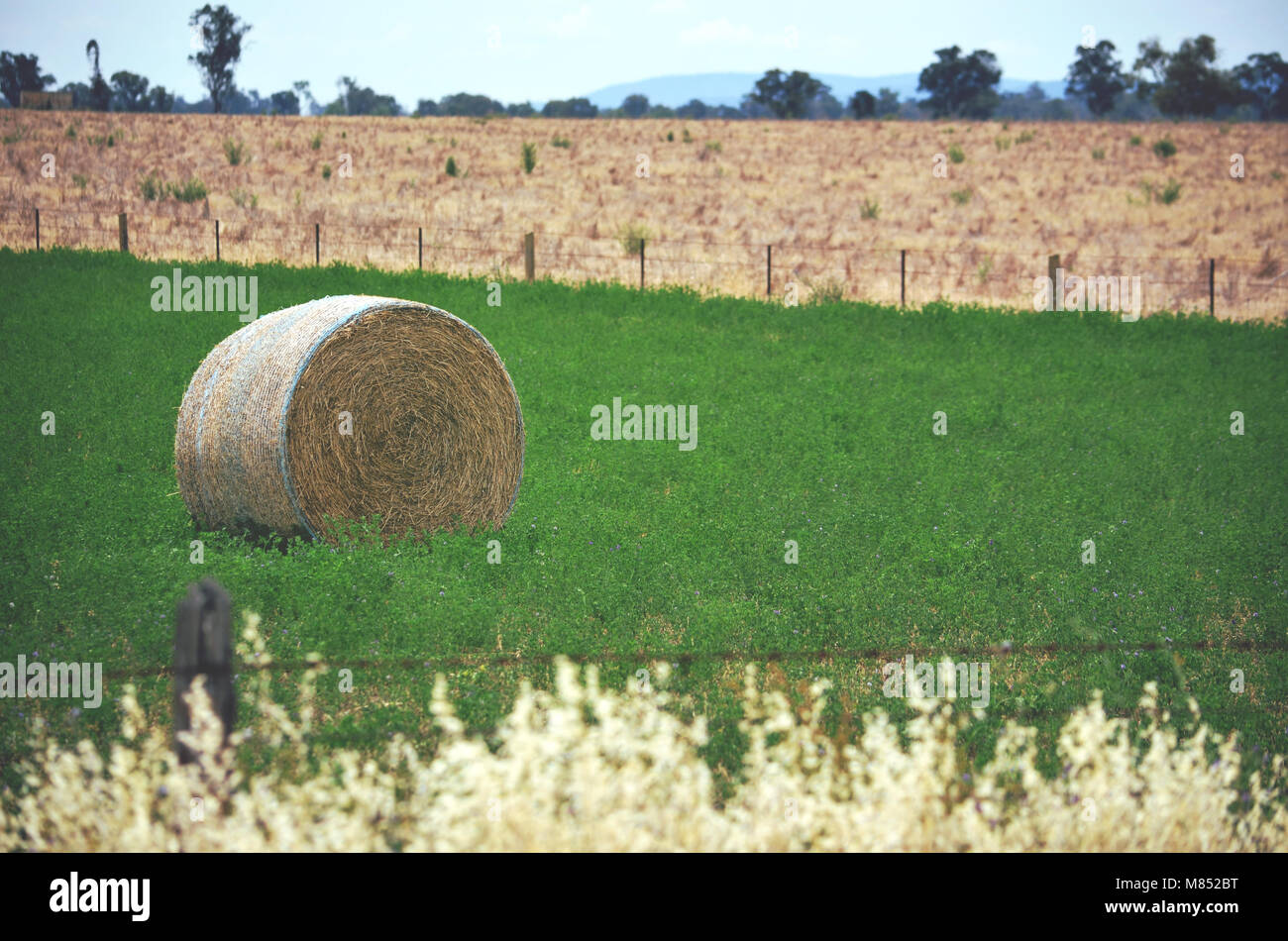 Hay nsw hi-res stock photography and images - Alamy