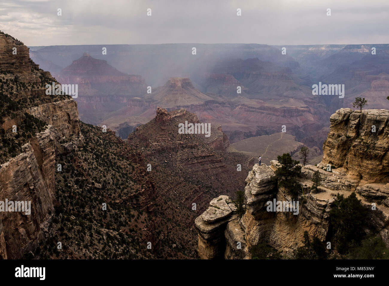 Grand national treasure hi-res stock photography and images - Alamy