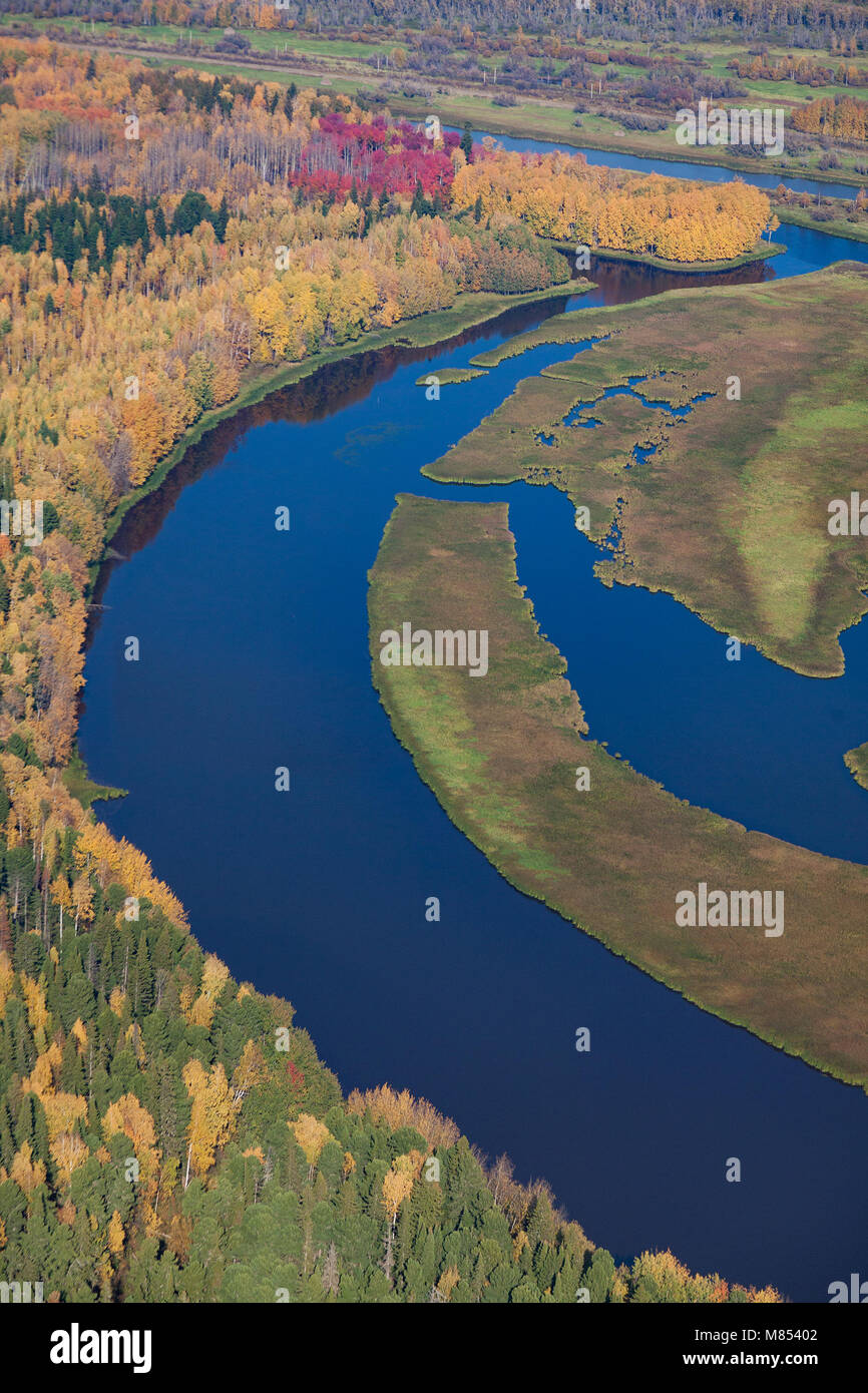 Top view perspective of autumn forest and river Stock Photo - Alamy
