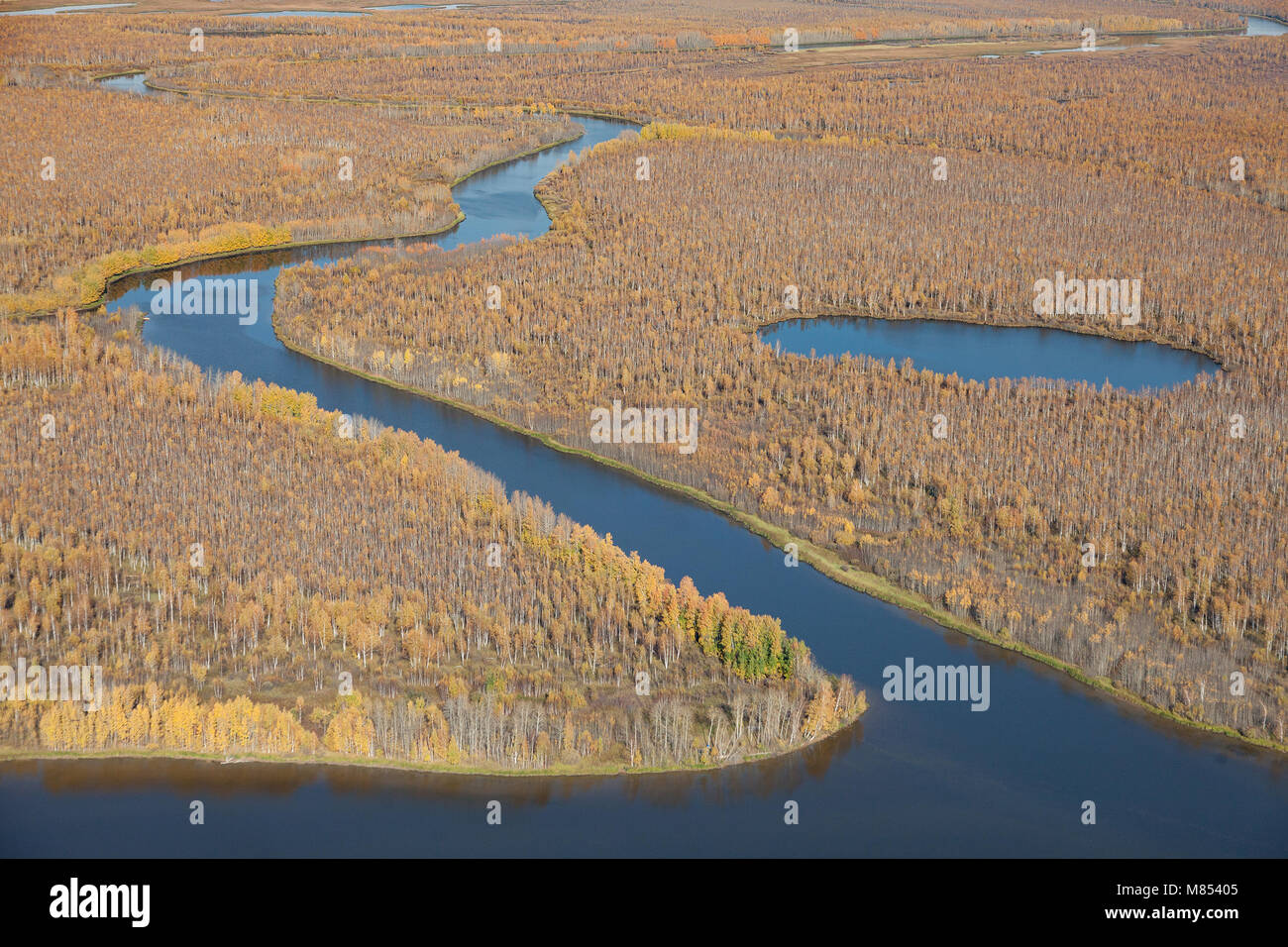 Top view perspective of autumn forest and river Stock Photo - Alamy