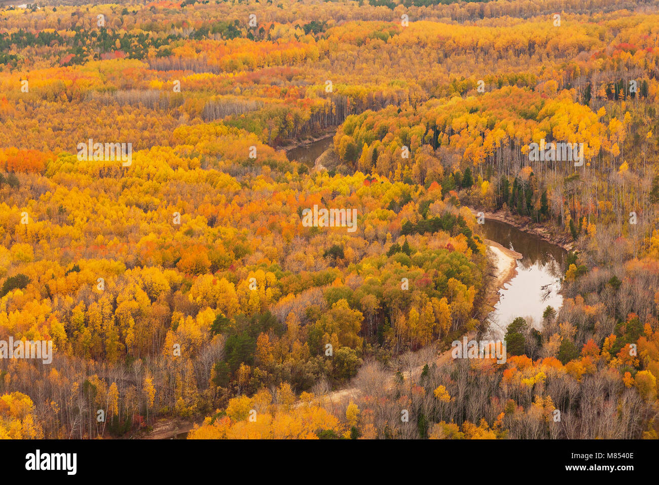 Top view perspective of autumn forest and river Stock Photo - Alamy