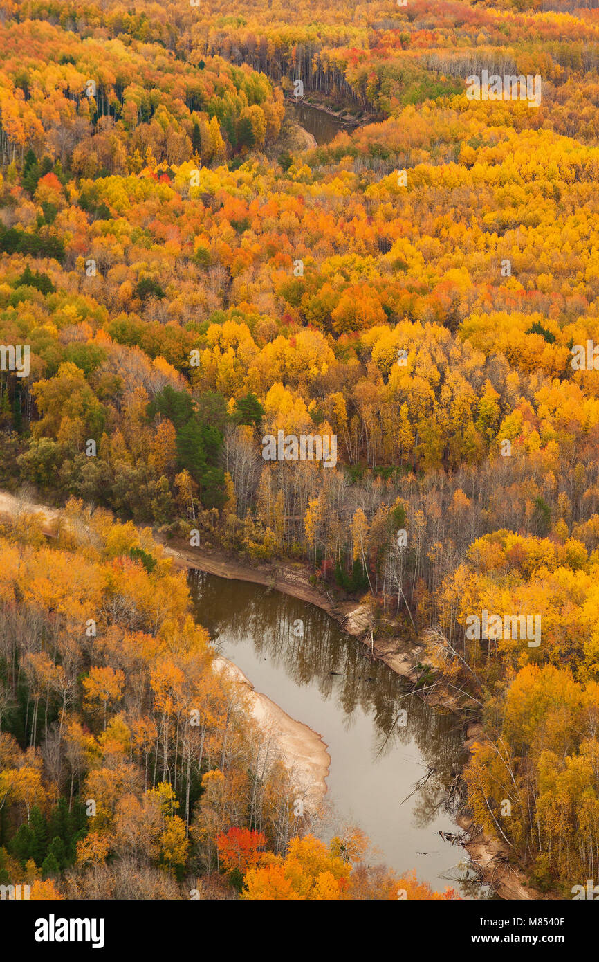 Top view perspective of autumn forest and river Stock Photo - Alamy