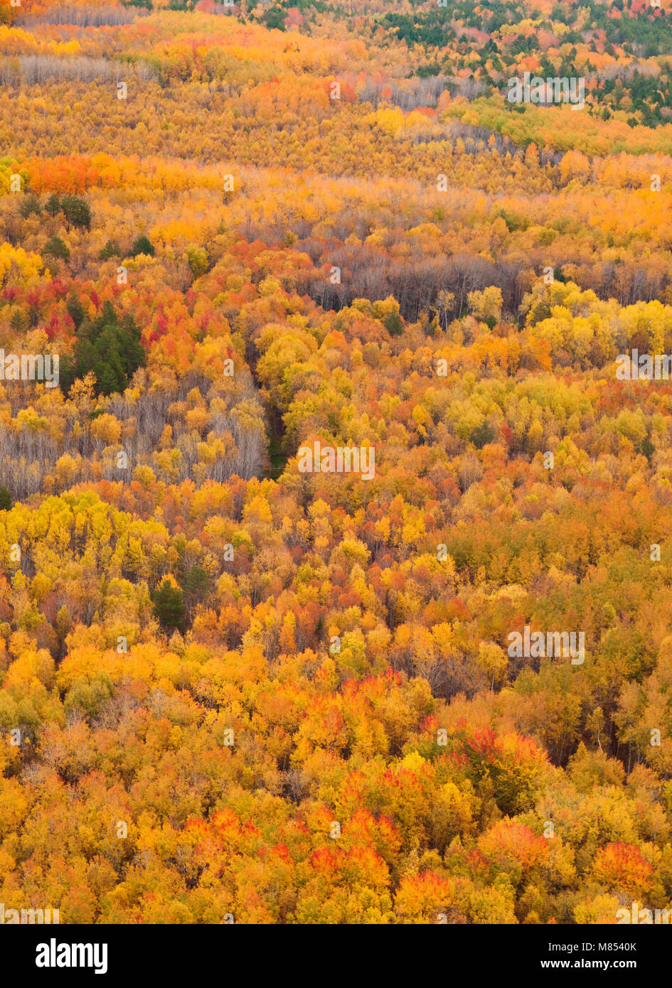 Canada forest aerial hi-res stock photography and images - Alamy
