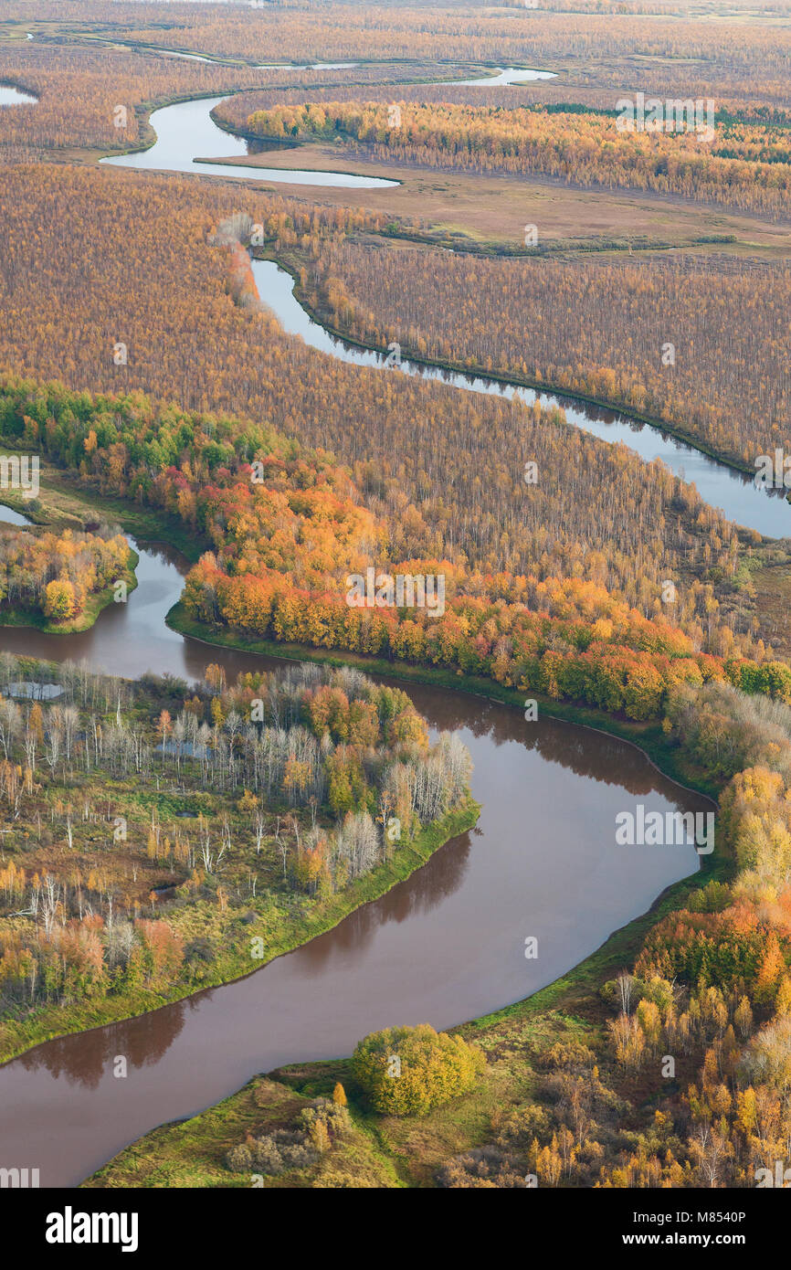 Top view perspective of autumn forest and river Stock Photo - Alamy