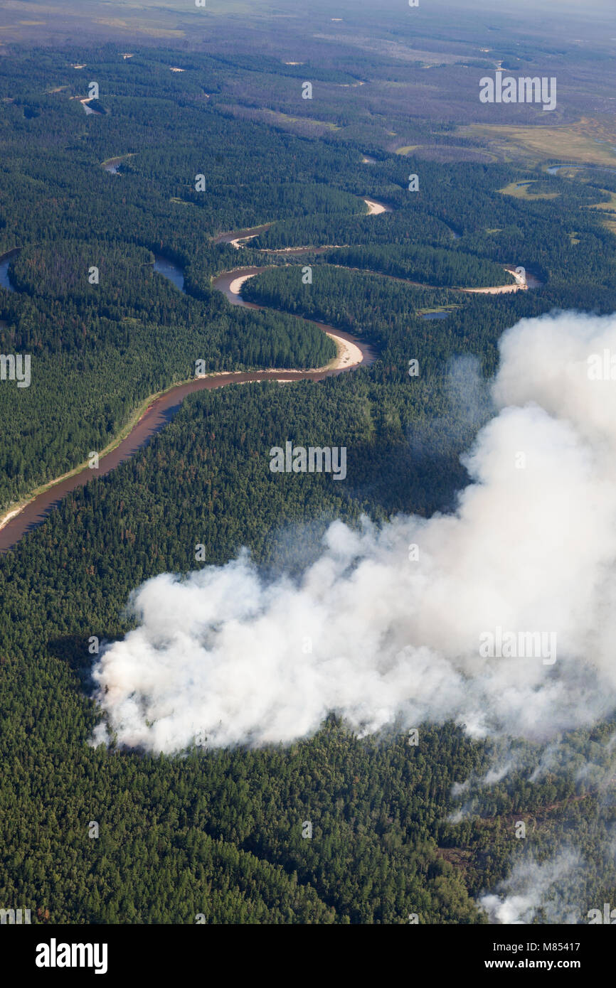 Aerial view of wildfire in forest Stock Photo - Alamy