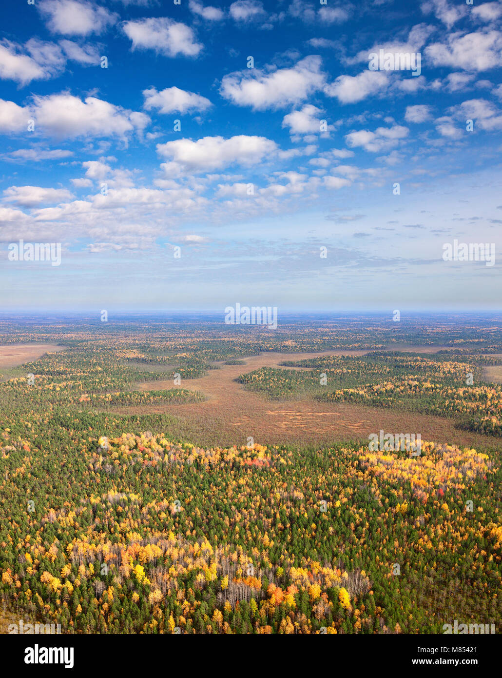 Top view perspective of autumn forest Stock Photo - Alamy