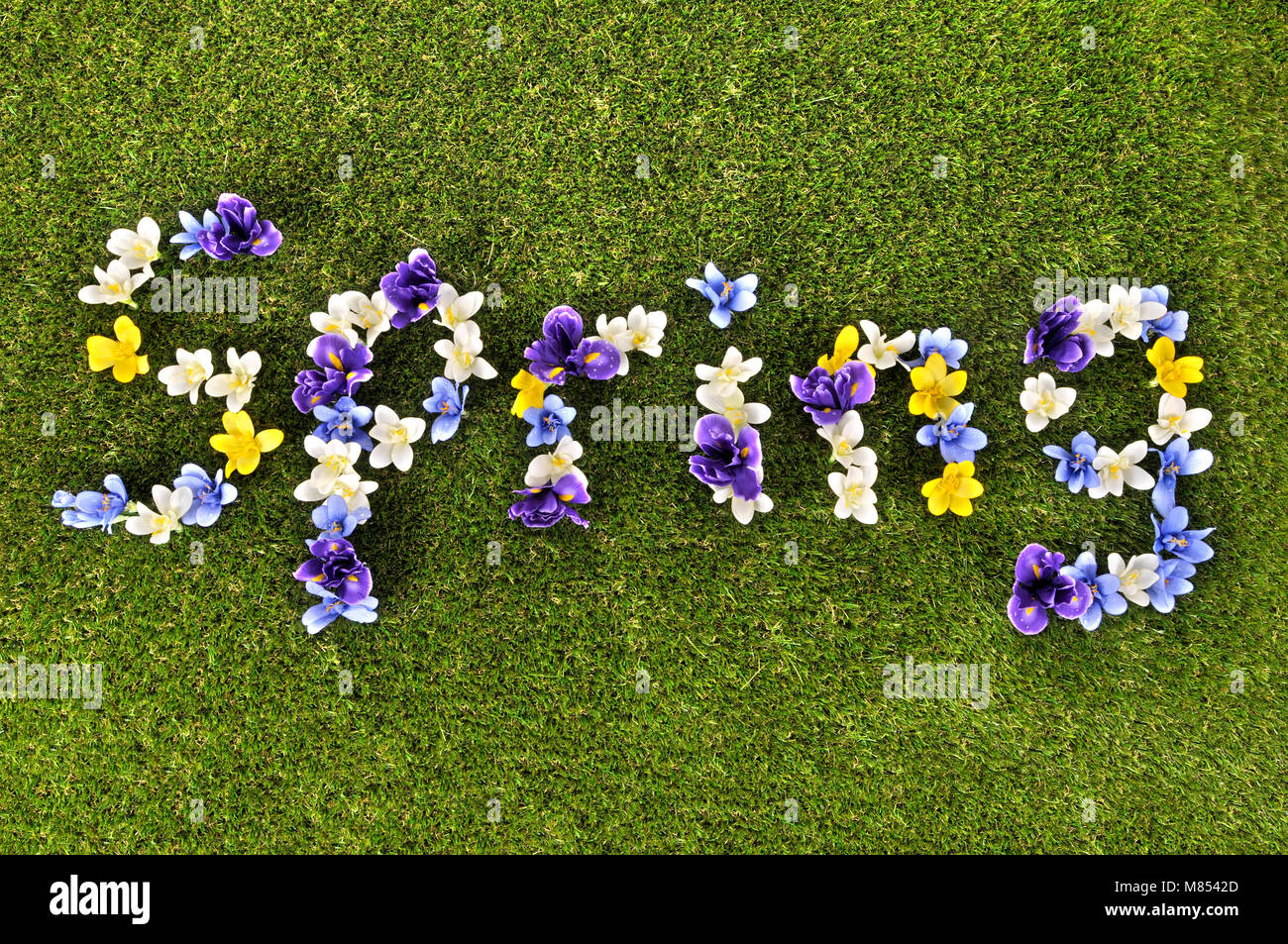 Word spring written flowers hi-res stock photography and images - Alamy