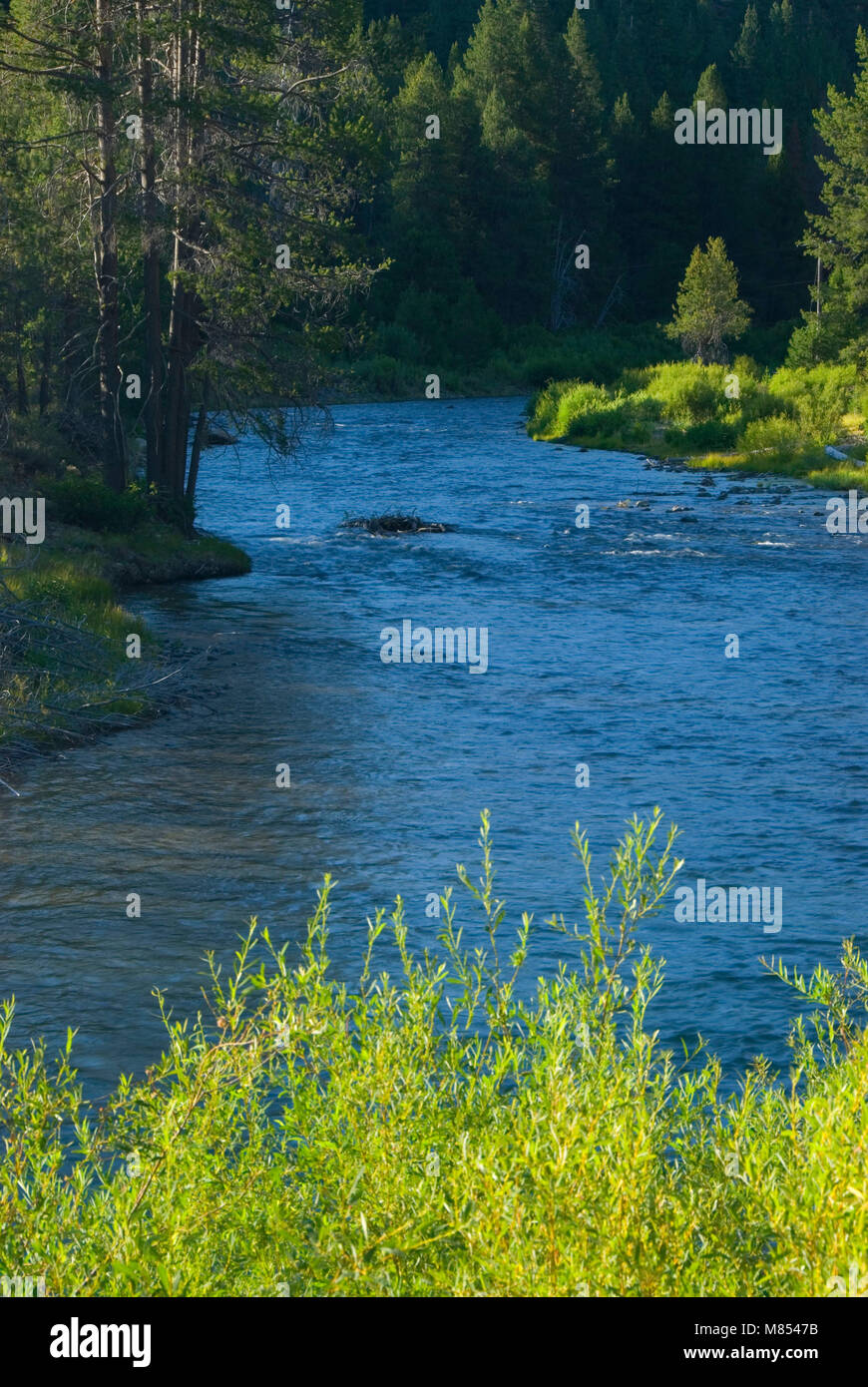 Truckee river trail nevada hi-res stock photography and images - Alamy
