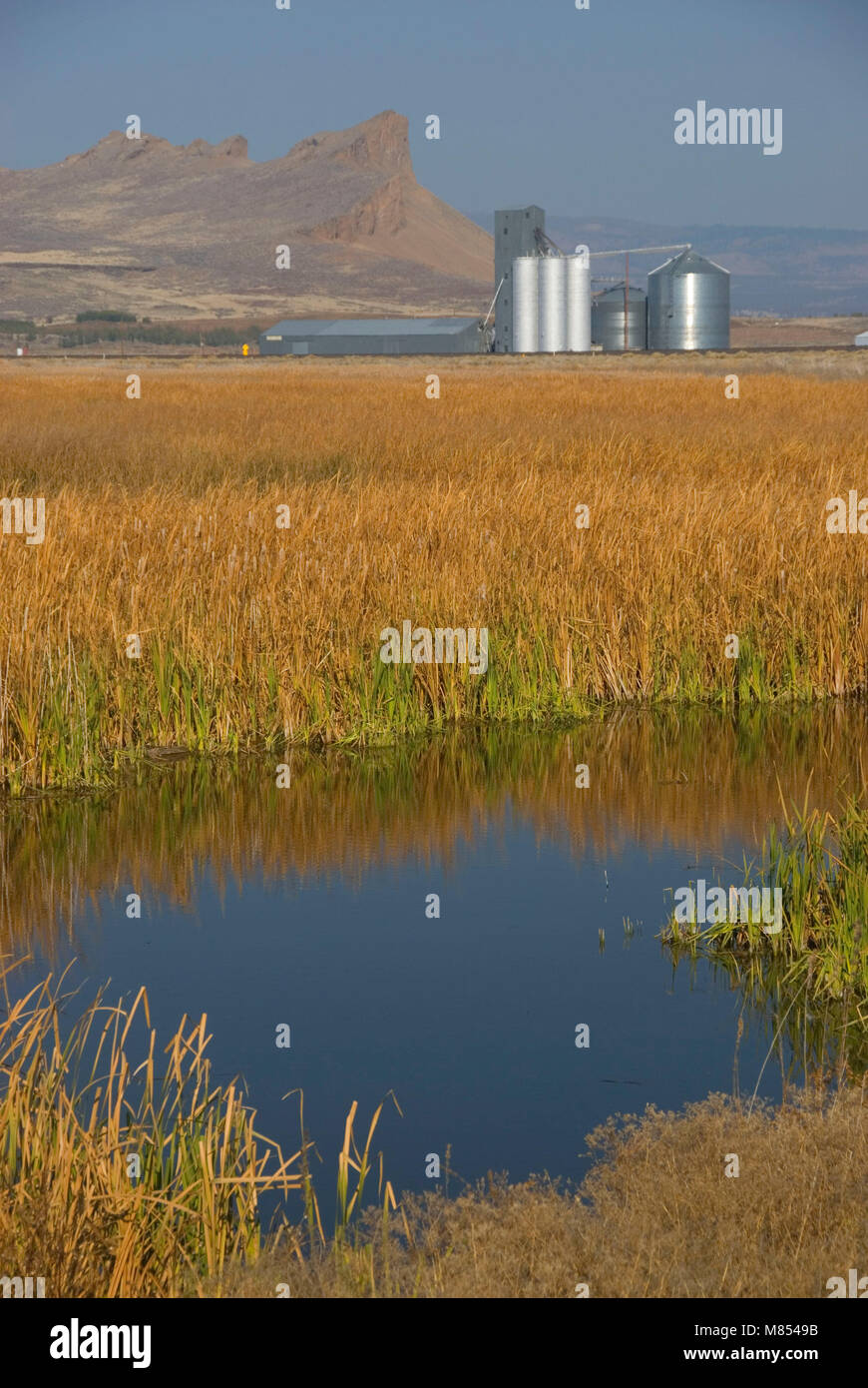 Marsh on Sump 1-B, Tule Lake National Wildlife Refuge, California Stock ...