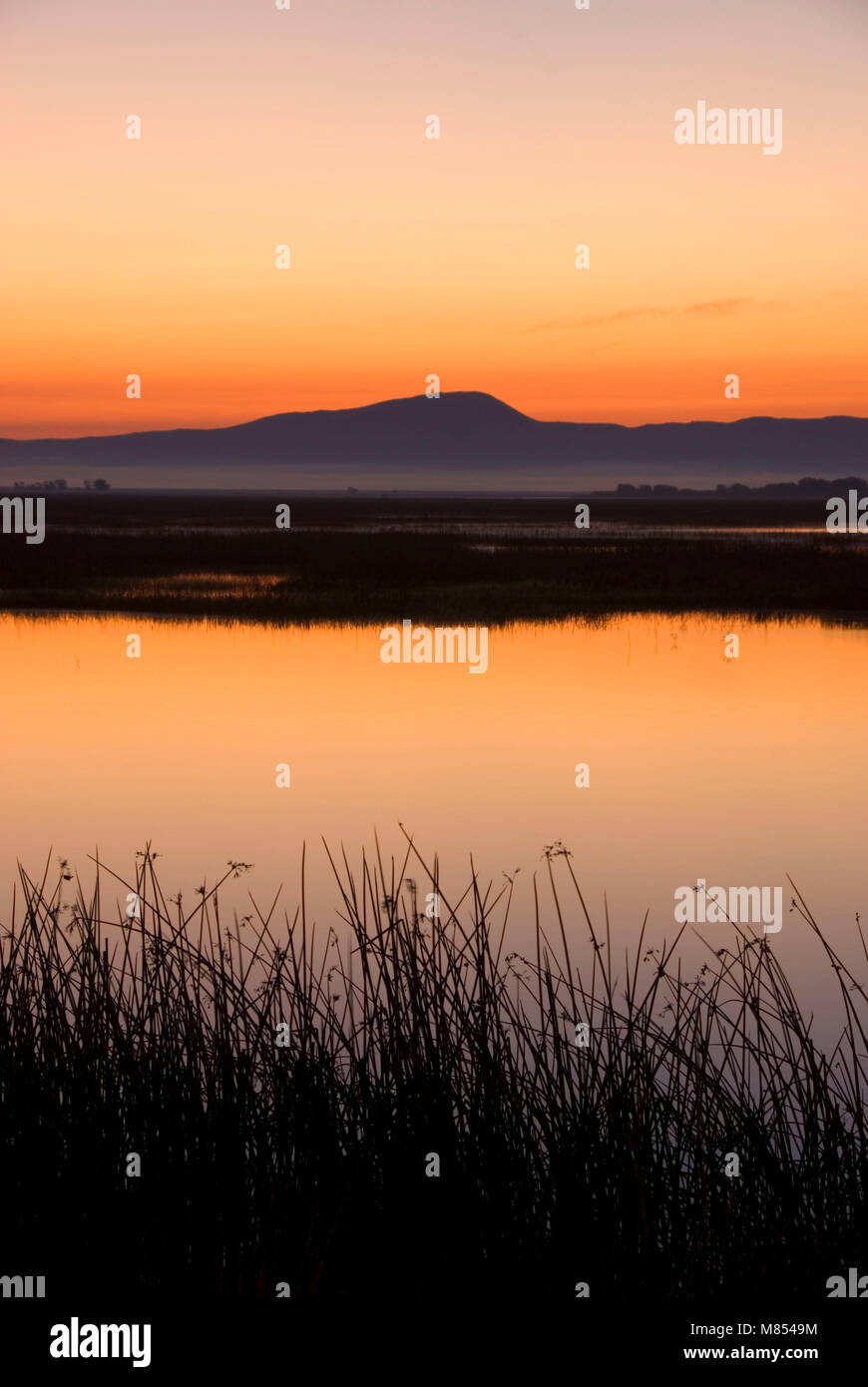 Wetland dawn, Lower Klamath National Wildlife Refuge, California Stock ...