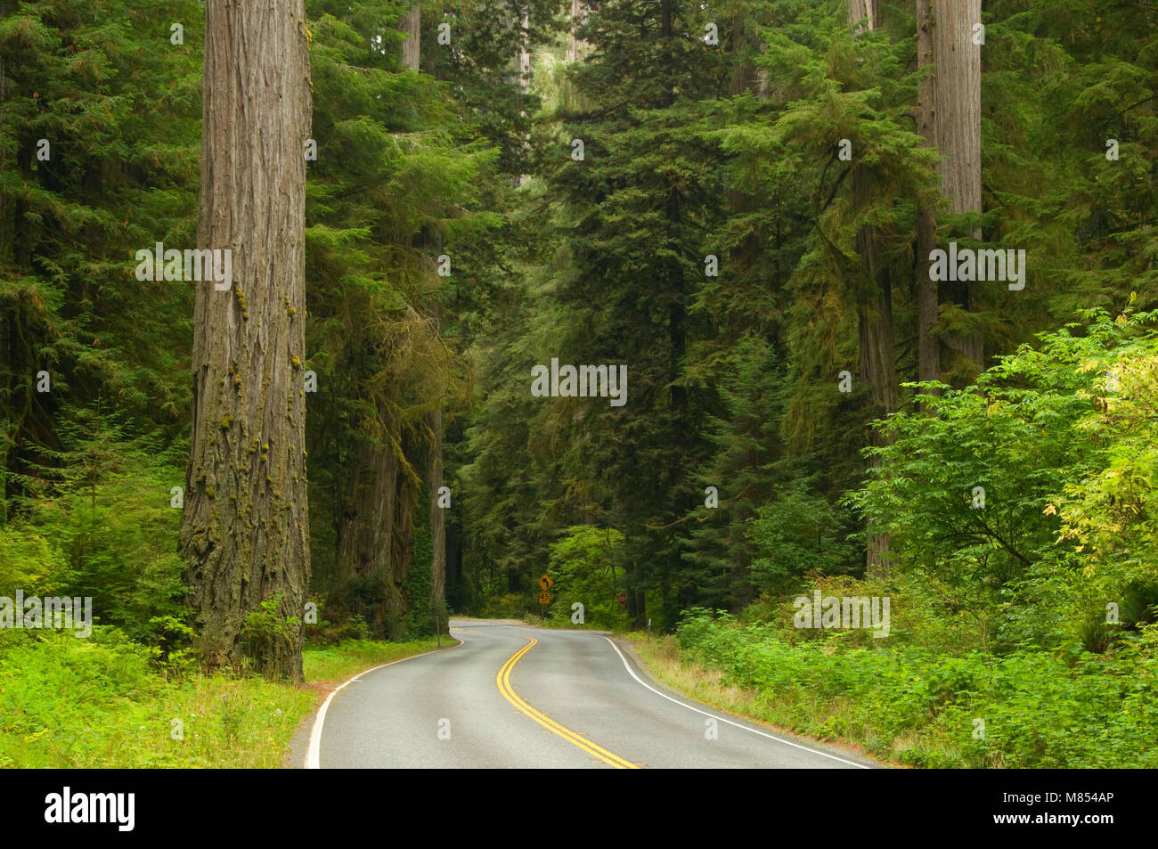Smith river scenic byway hi-res stock photography and images - Alamy