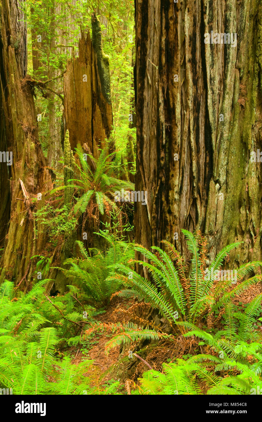 James Irvine High Resolution Stock Photography and Images - Alamy