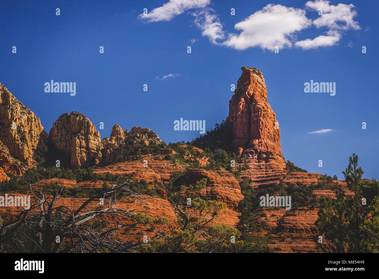 Red rock secret mountain wilderness hi-res stock photography and images ...