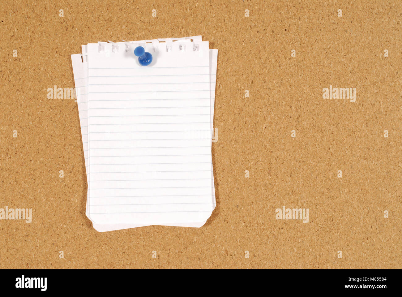 Cork notice or bulletin board with several sheets of untidy torn blank ...