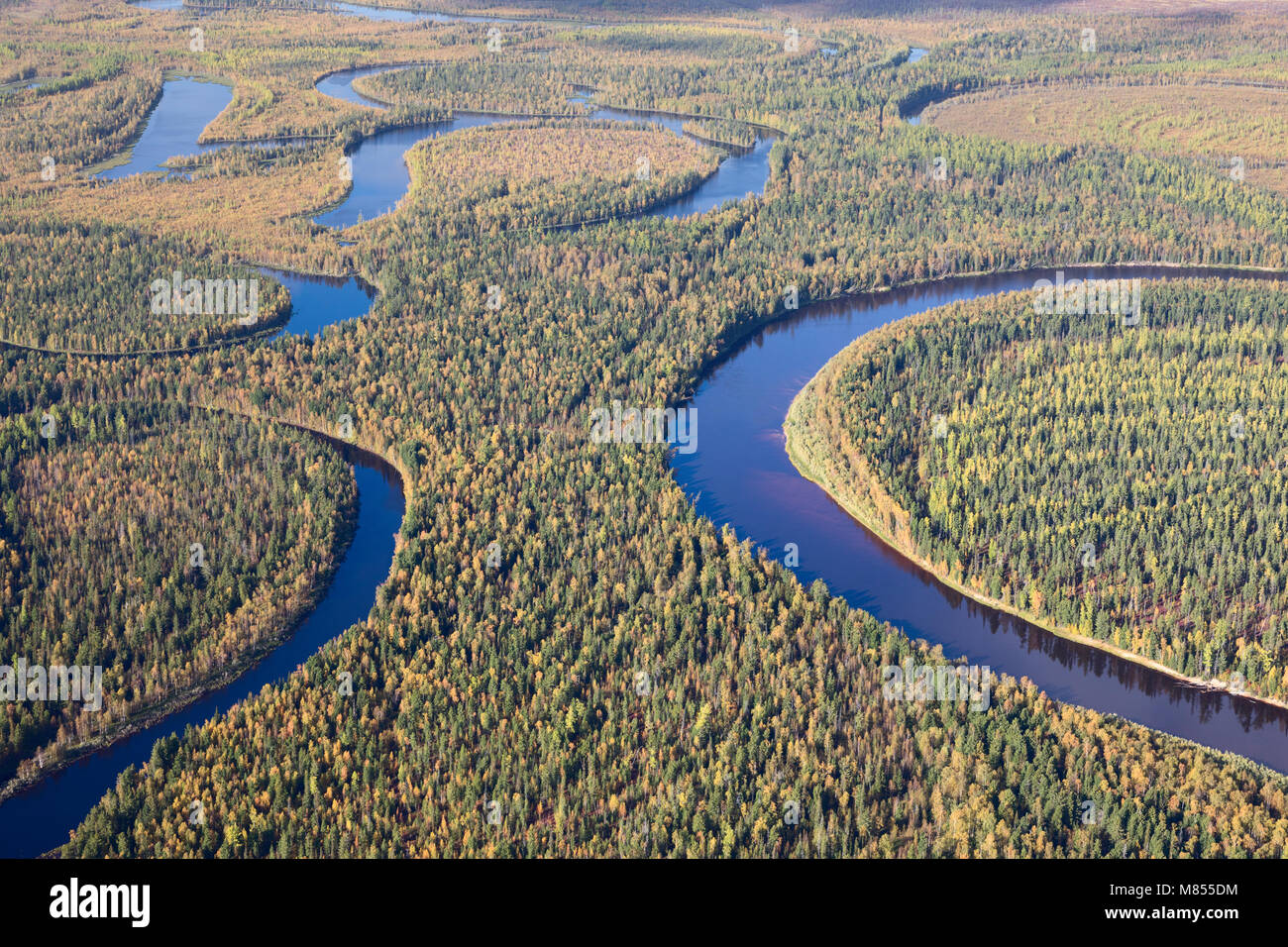 Top view of forest river in autumn Stock Photo - Alamy