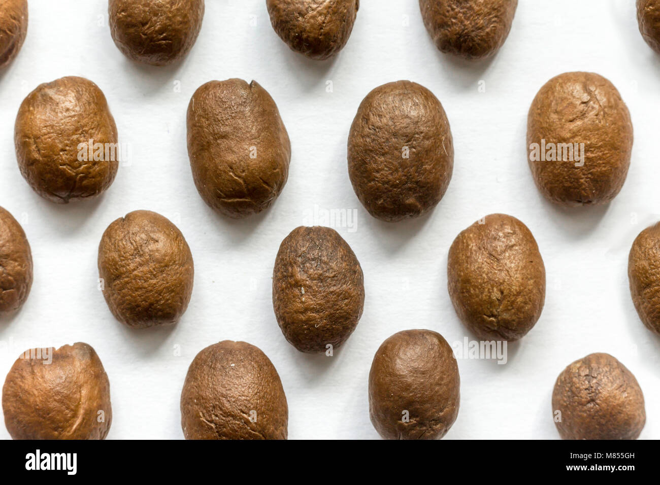 Patterns of coffee beans.Back of the beans. Different shapes and ...