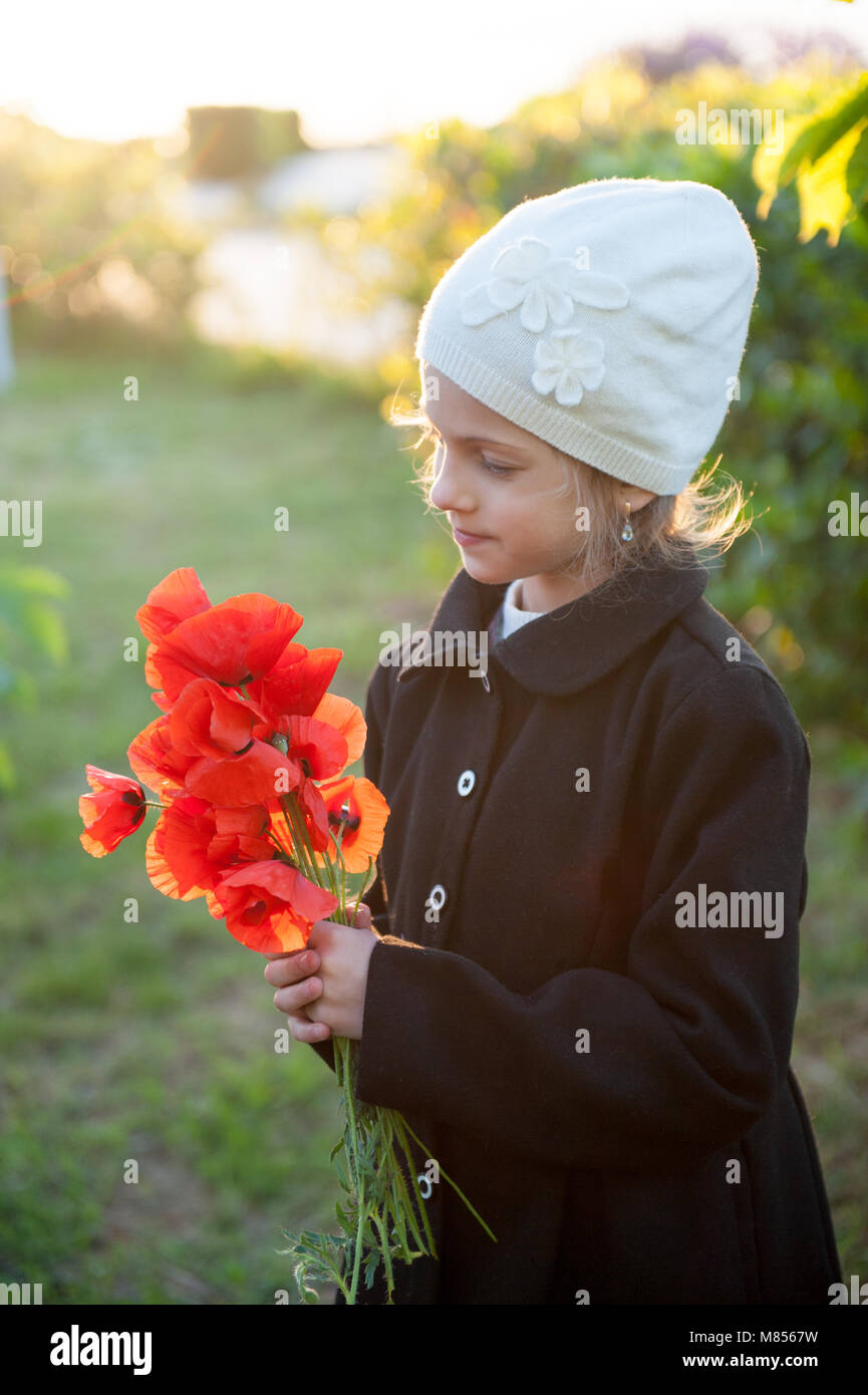 beautiful little girl with bouquet of poppies in her hands backlit by ...