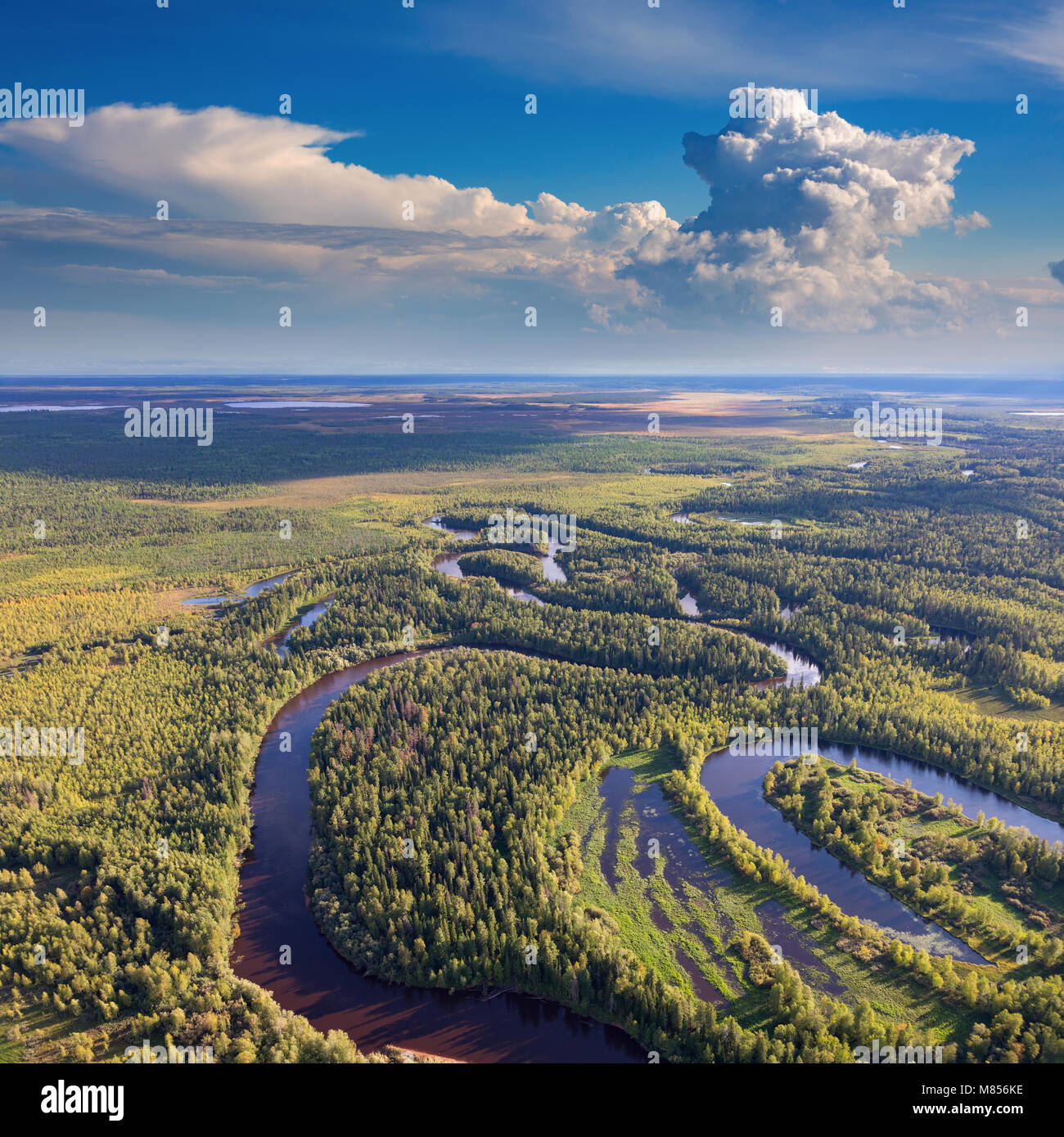 Forest plain with river Stock Photo - Alamy