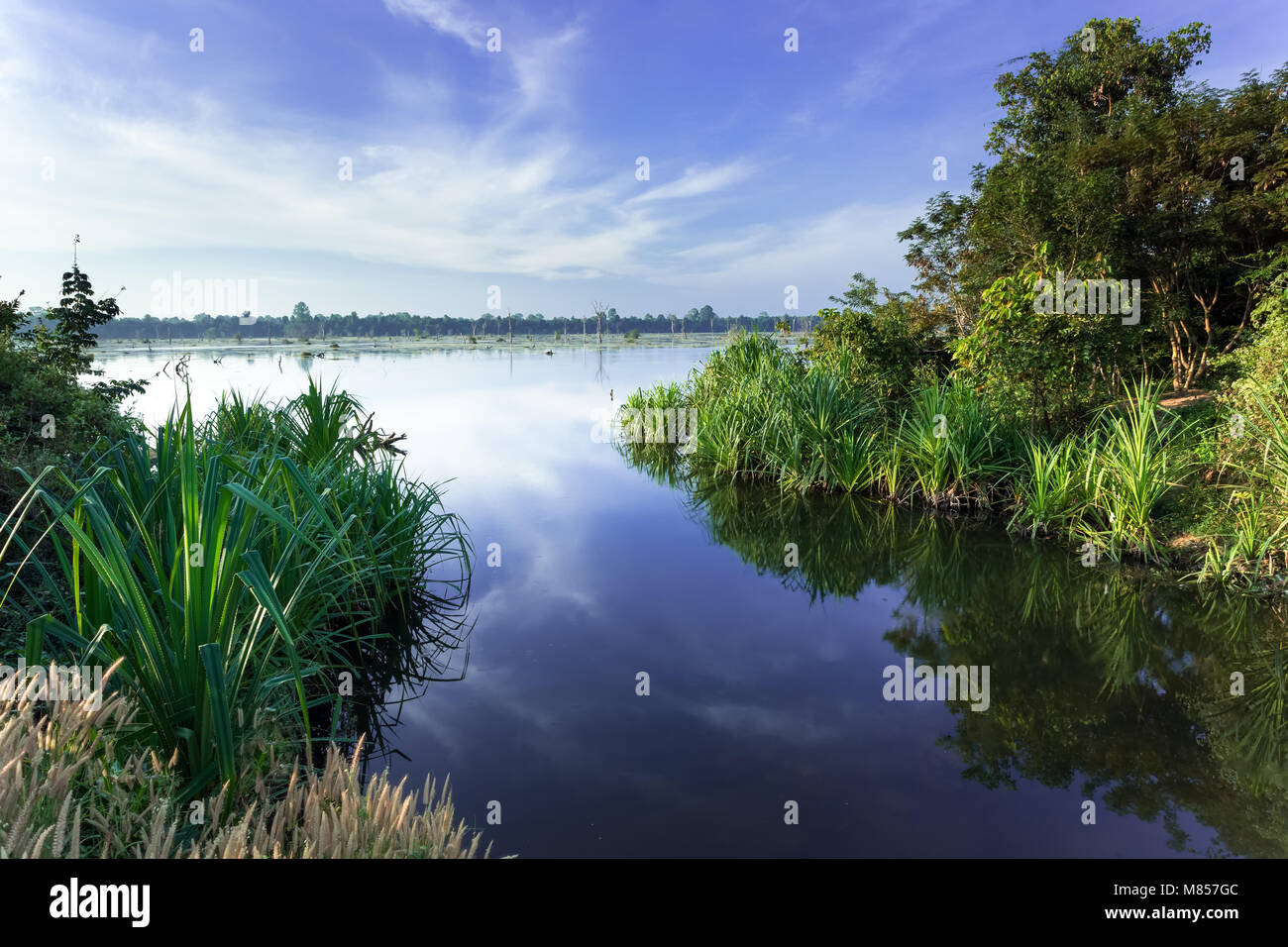 Jayatataka Baray, Angkor, Cambodia Stock Photo - Alamy