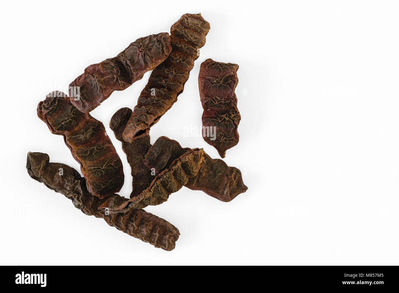 Acacia Pods Stock Photos & Acacia Pods Stock Images - Alamy